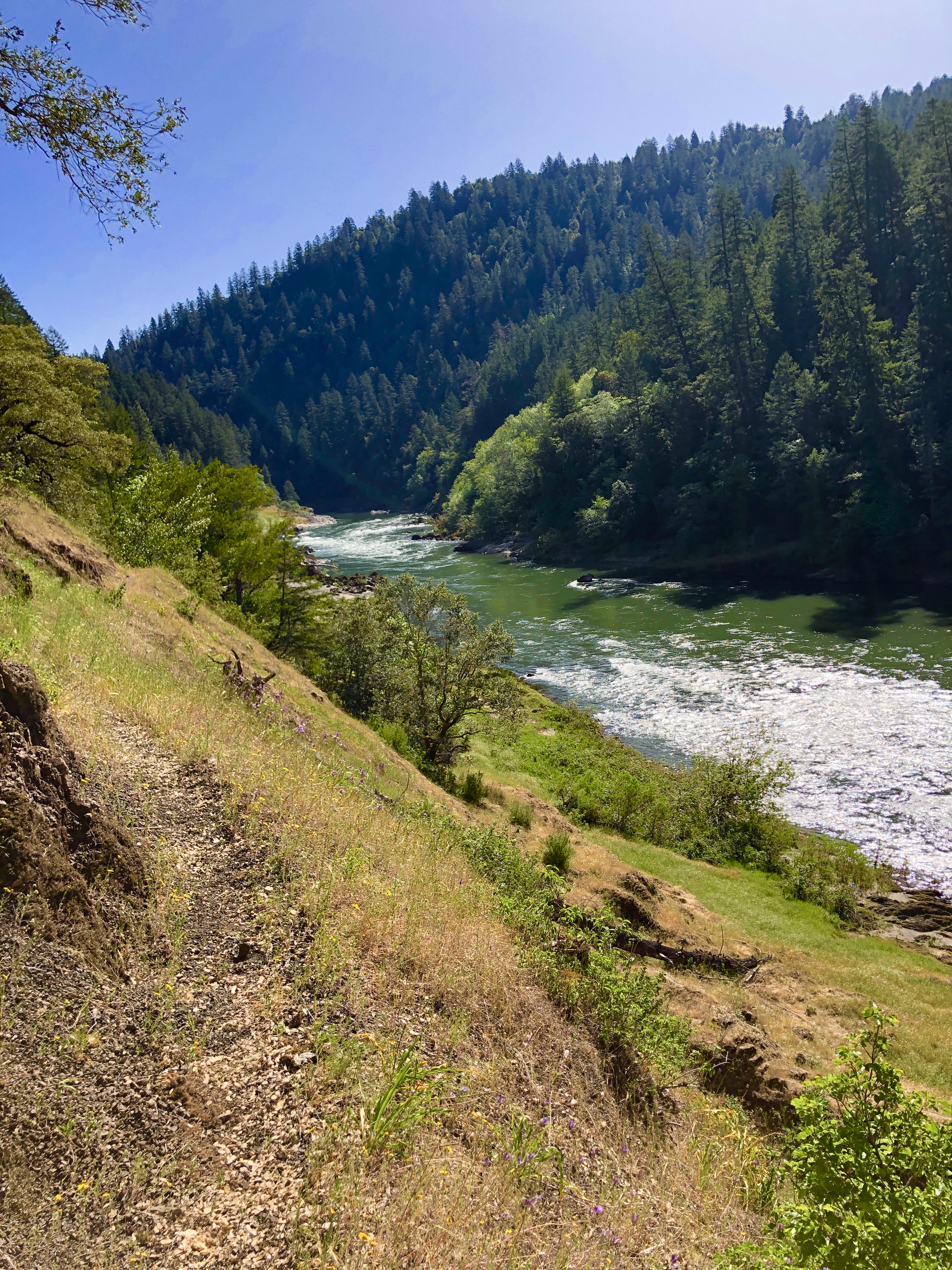 Rogue River Trail, Oregon - Grey Otter OUTventures®