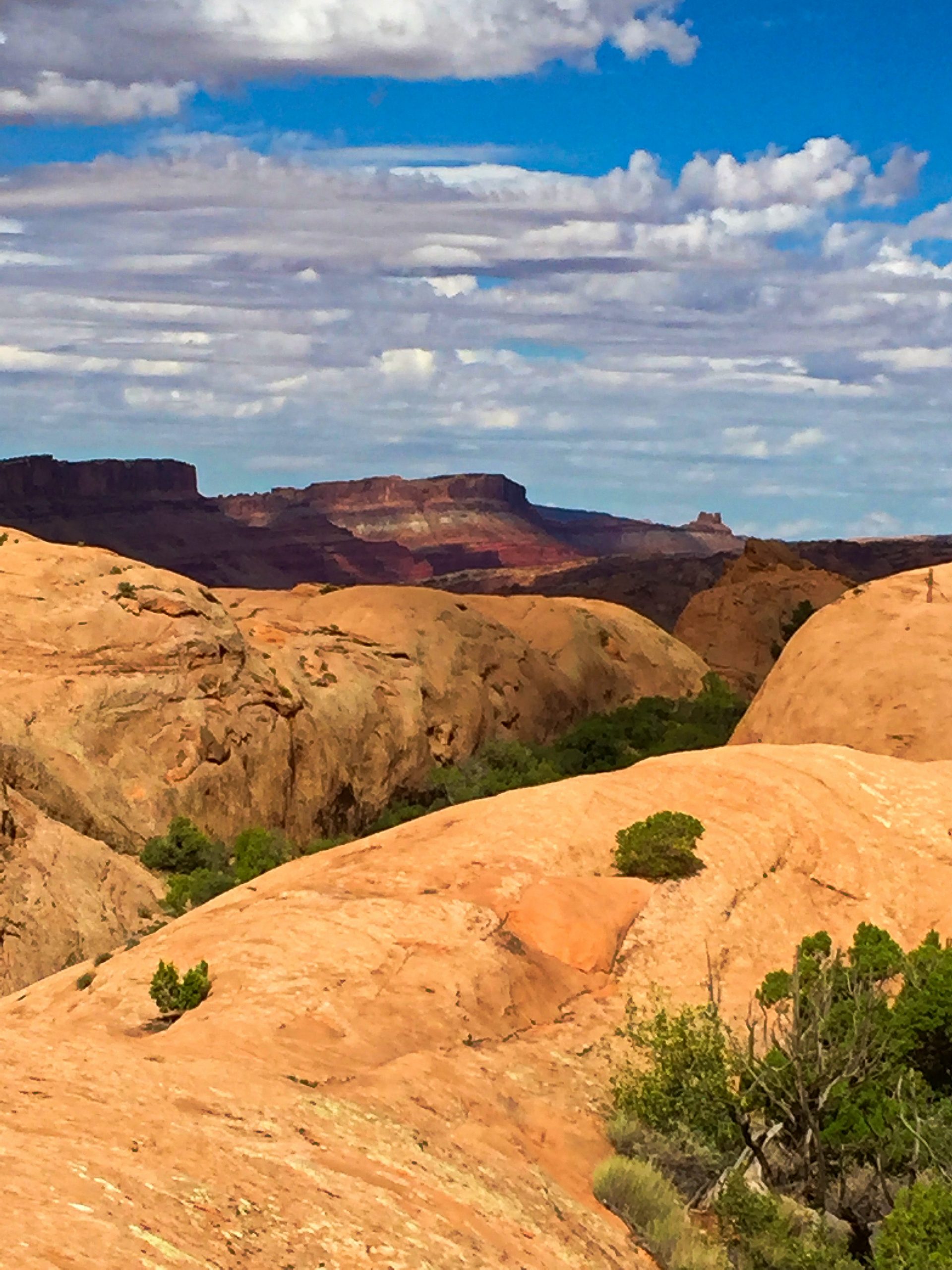 The Slickrock Trail - Moab, Utah - Grey Otter OUTventures®