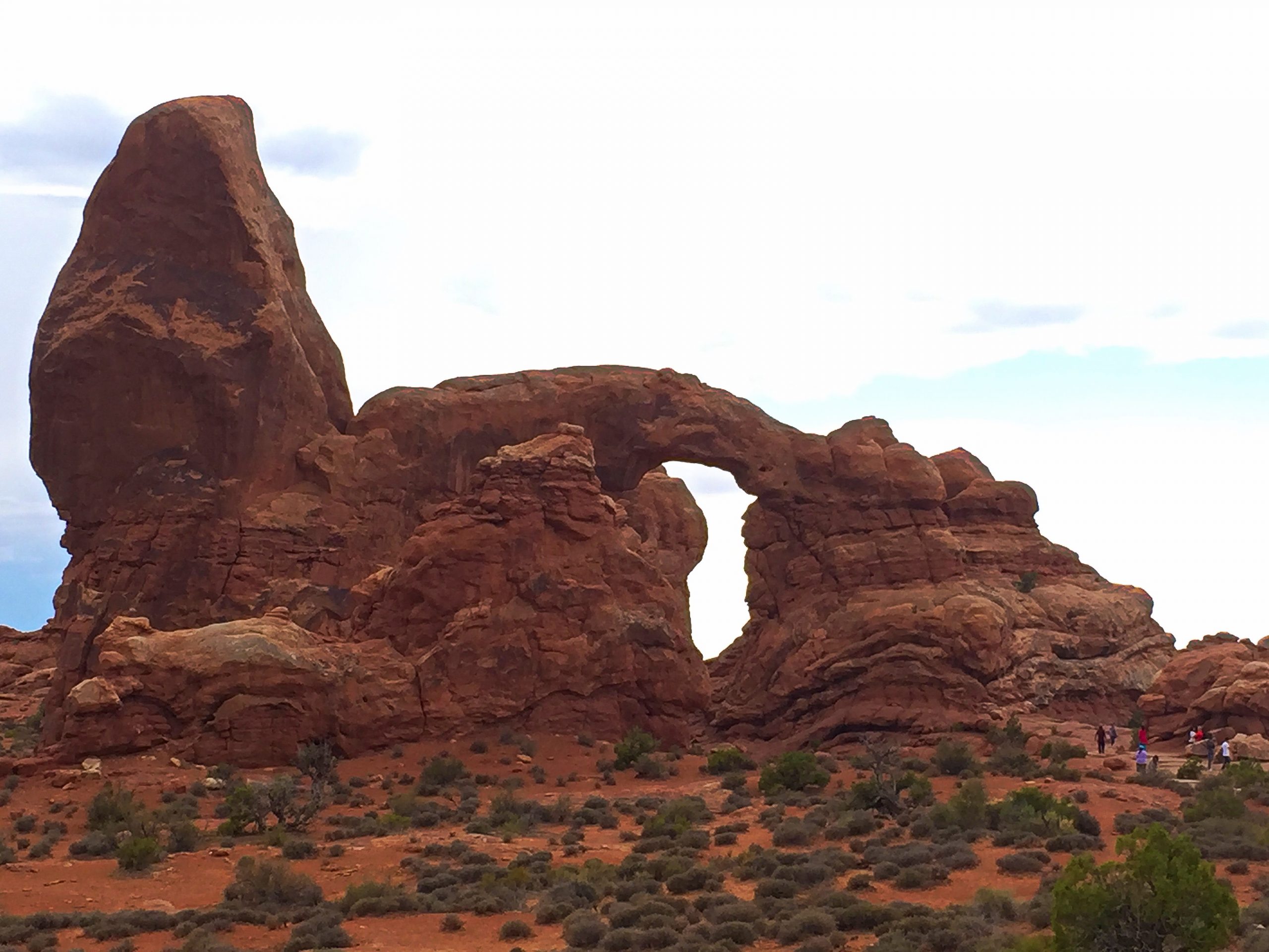 Arches National Park - Windows Section - Grey Otter OUTventures®