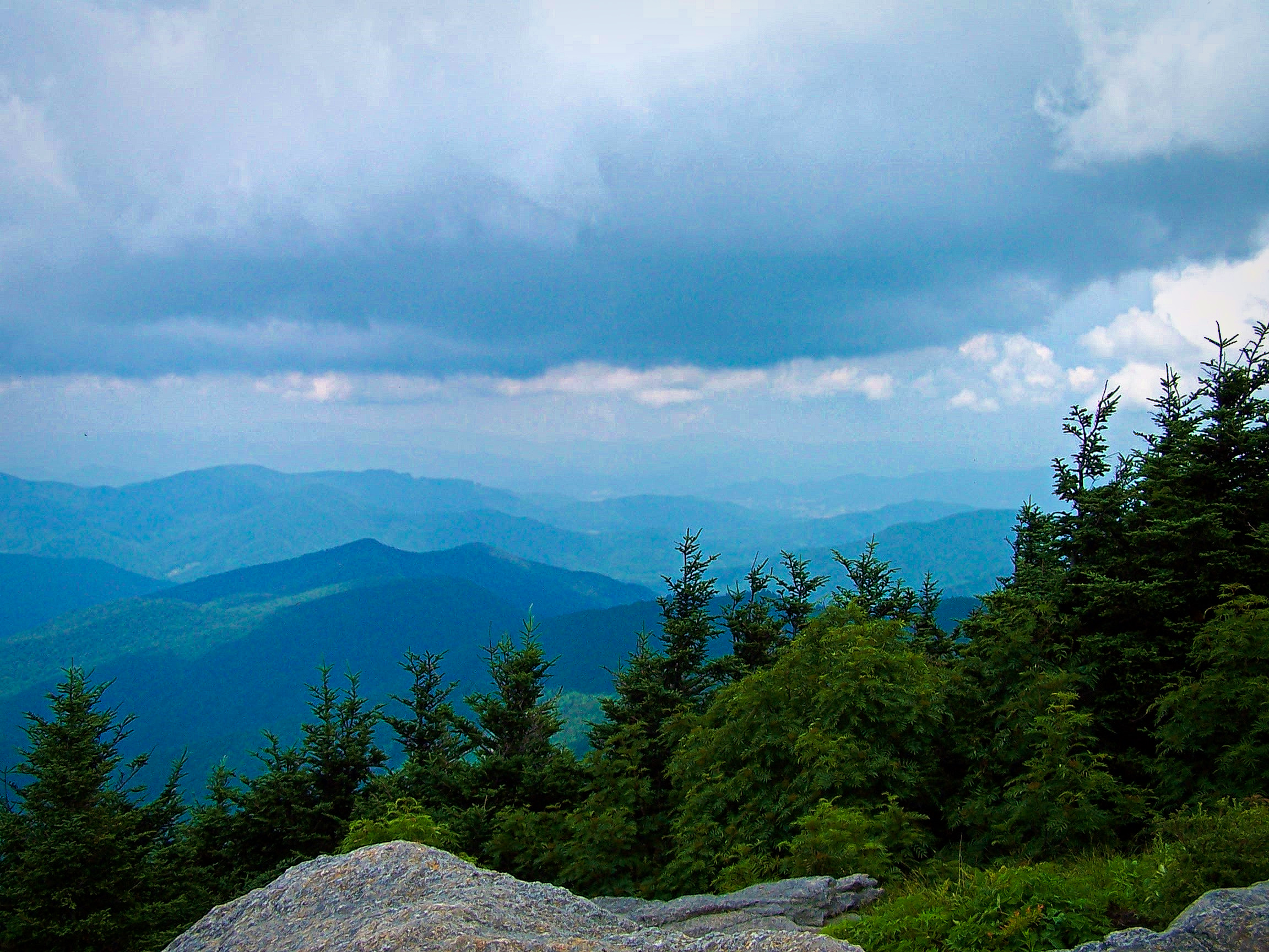 Mount Mitchell State Park - Deep Gap Trail - Grey Otter OUTventures®