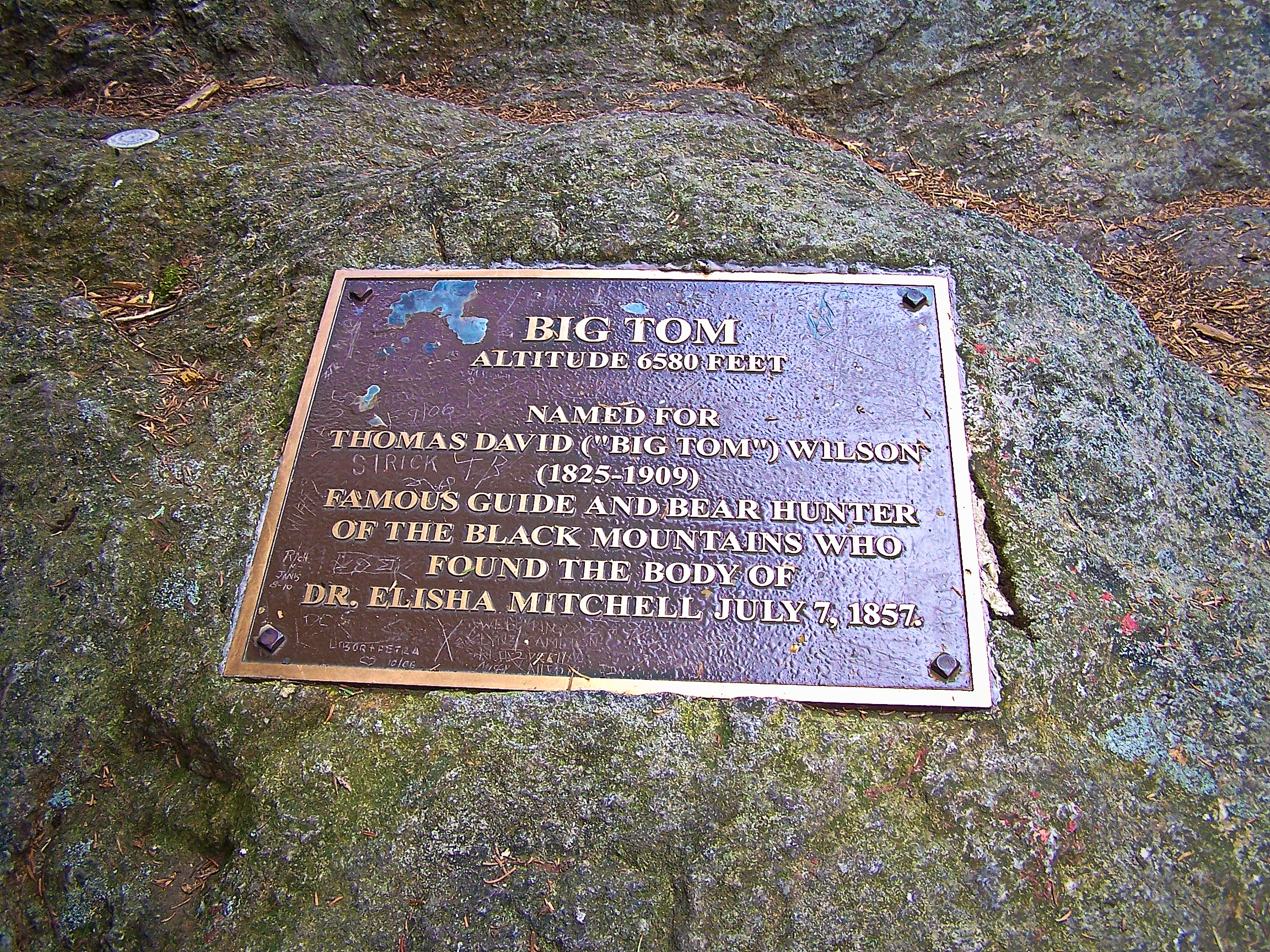 Mount Mitchell State Park - Deep Gap Trail - Grey Otter OUTventures®