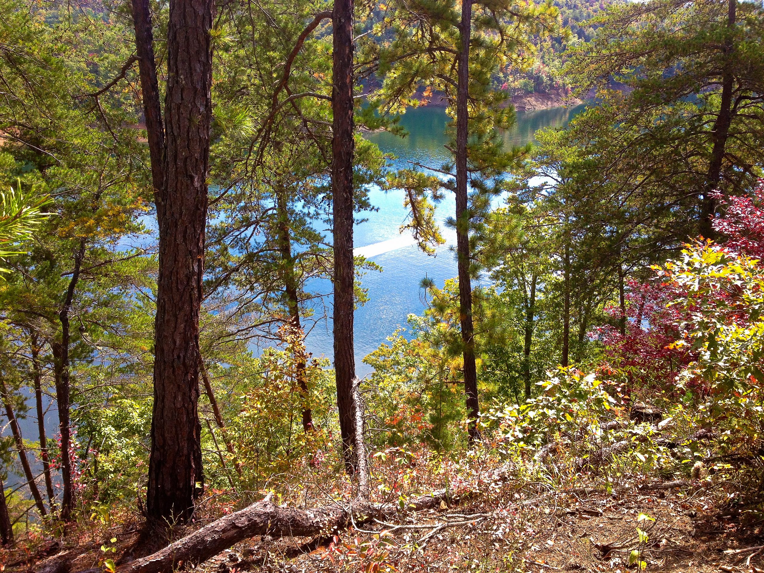 Tsali Mountain Bike Trails, NC - Grey Otter OUTventures®