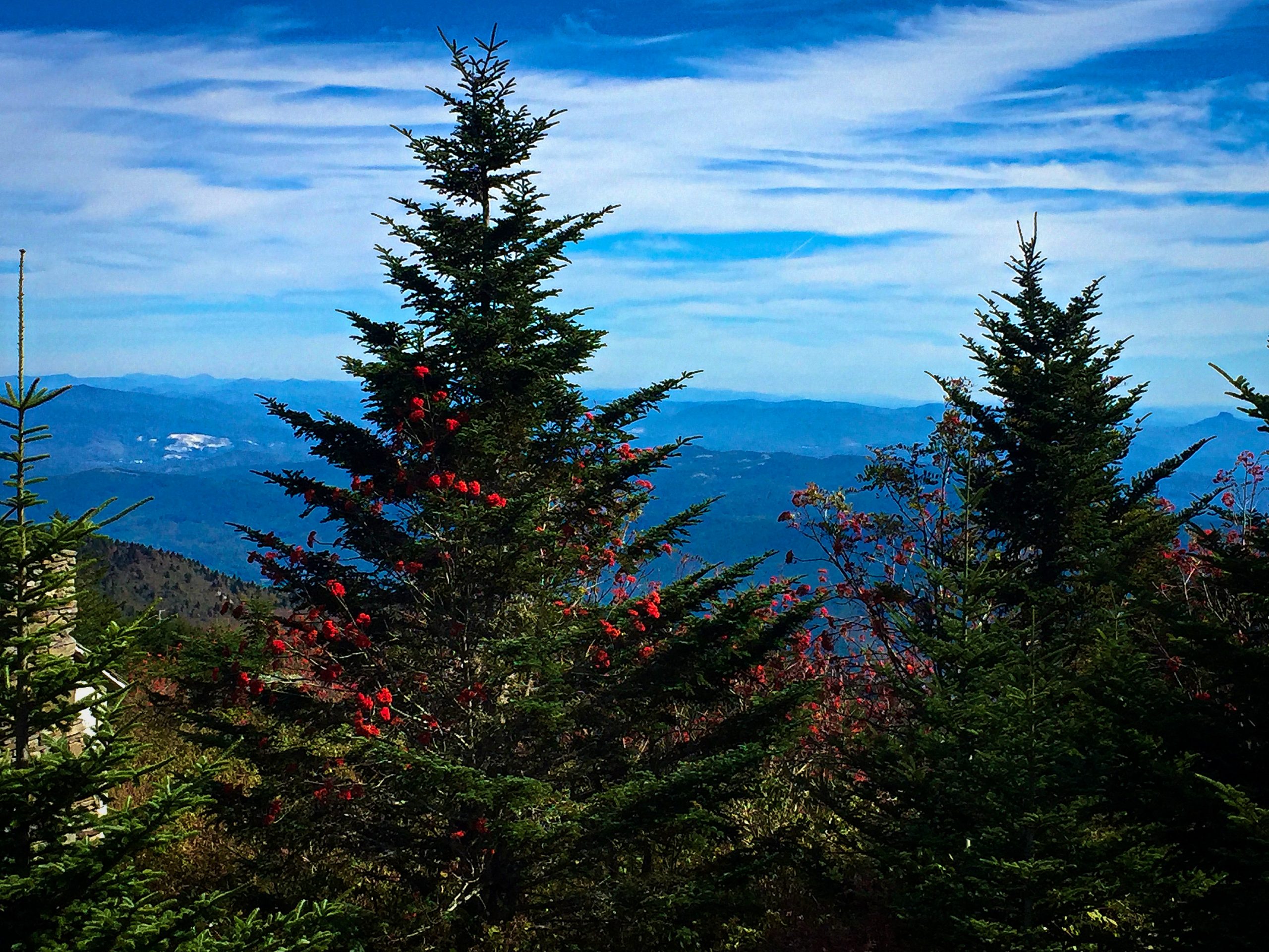 Mount Mitchell State Park - Deep Gap Trail - Grey Otter OUTventures®