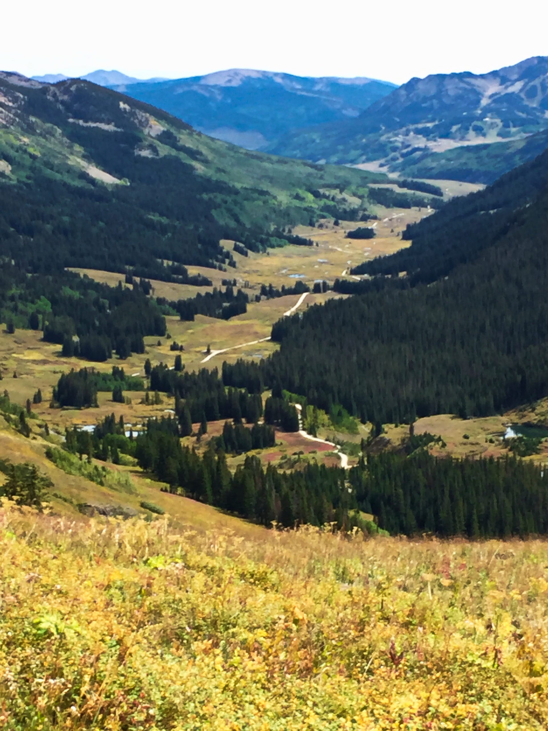 Crested Butte Trail 401 Loop, CO - Grey Otter OUTventures®