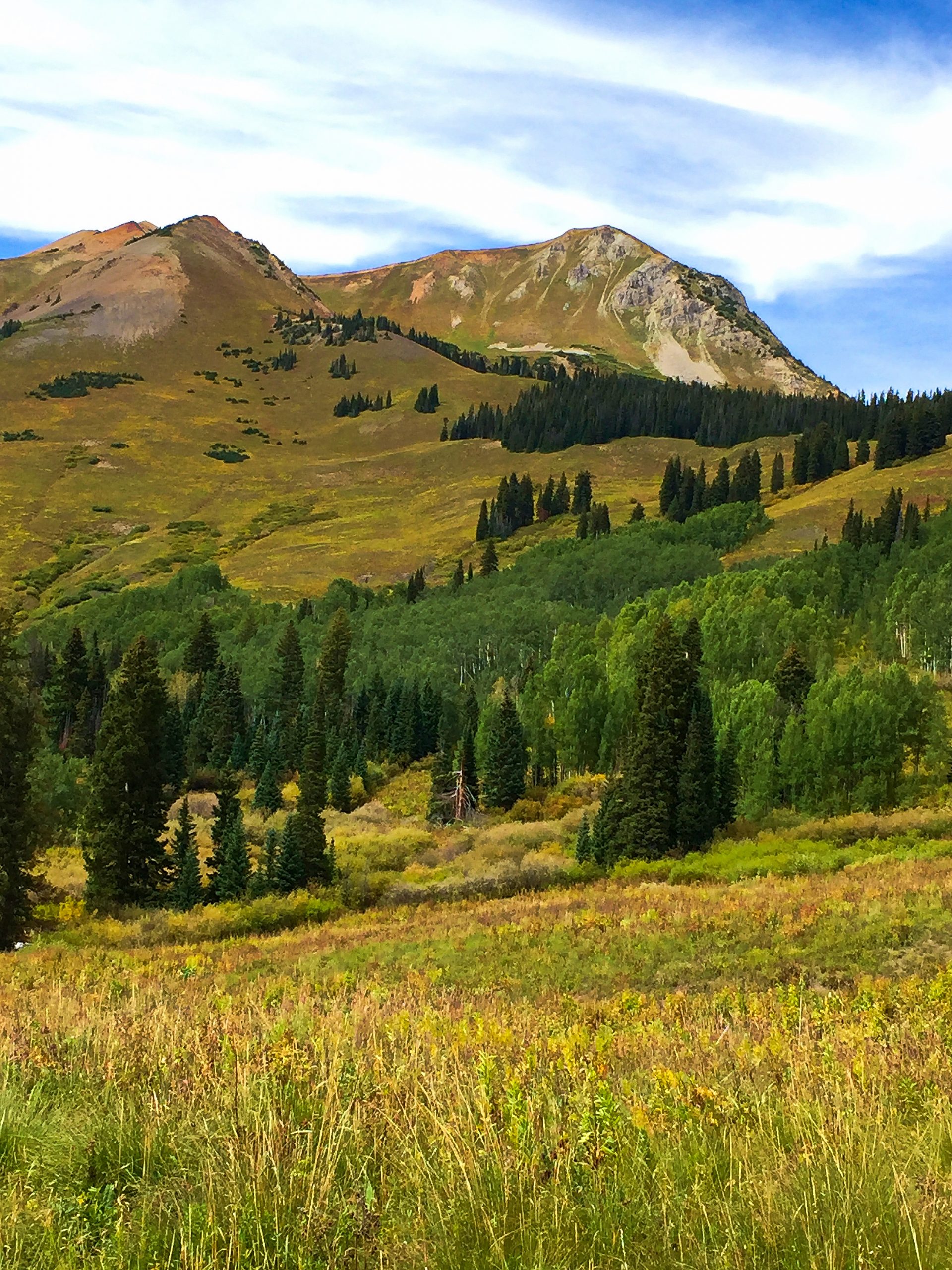 Crested Butte Trail 401 Loop, CO - Grey Otter OUTventures®