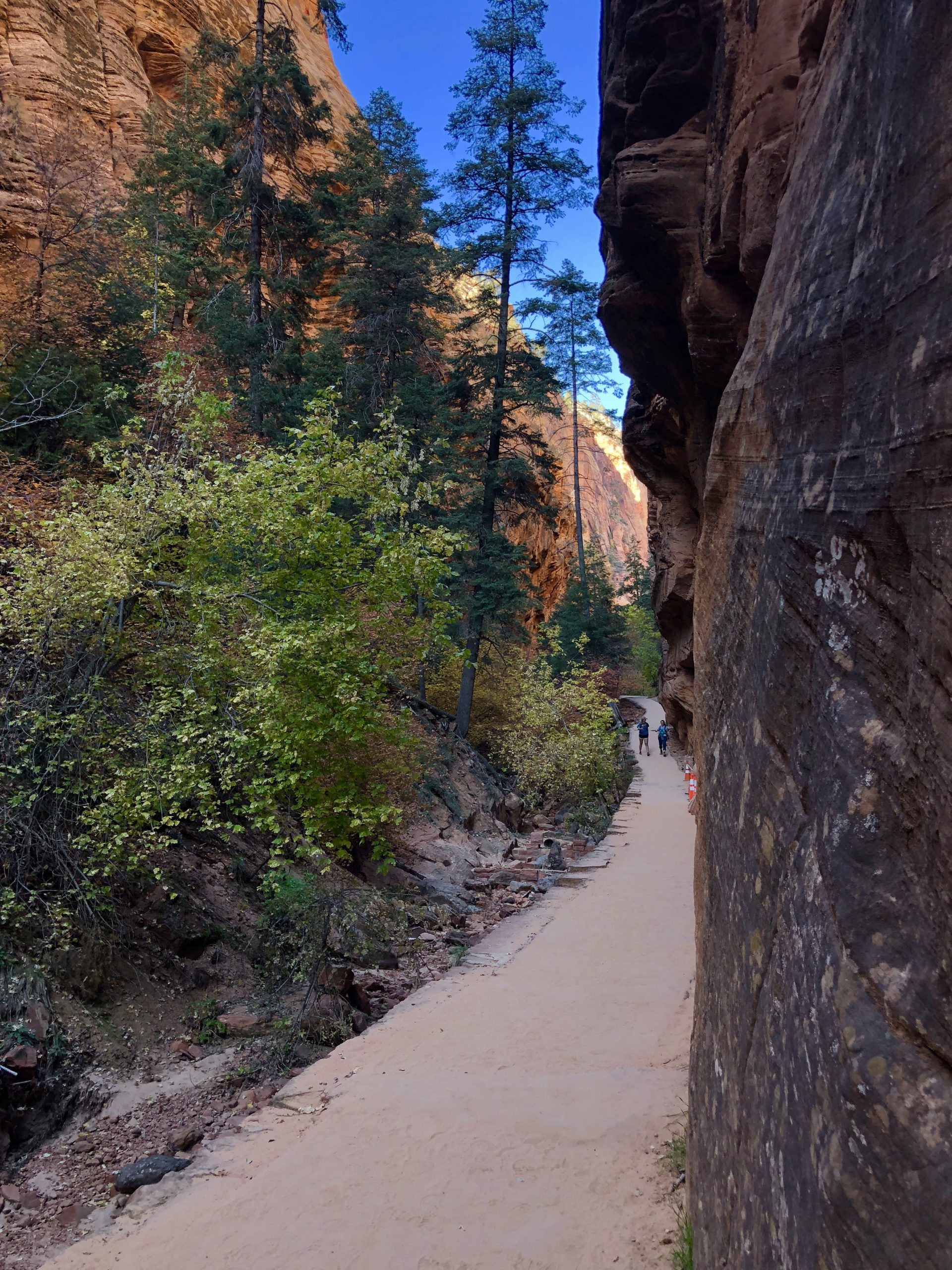 Zion National Park - West Rim Trail - Grey Otter OUTventures®