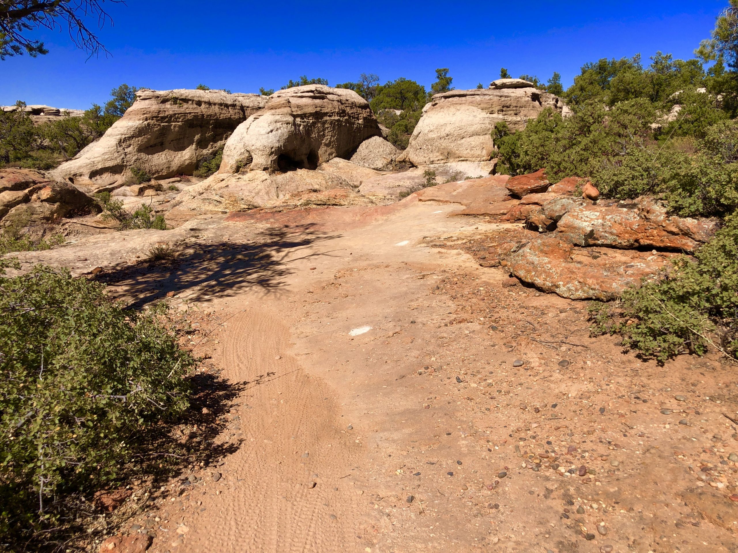 Gooseberry Mesa, UT - Grey Otter OUTventures®