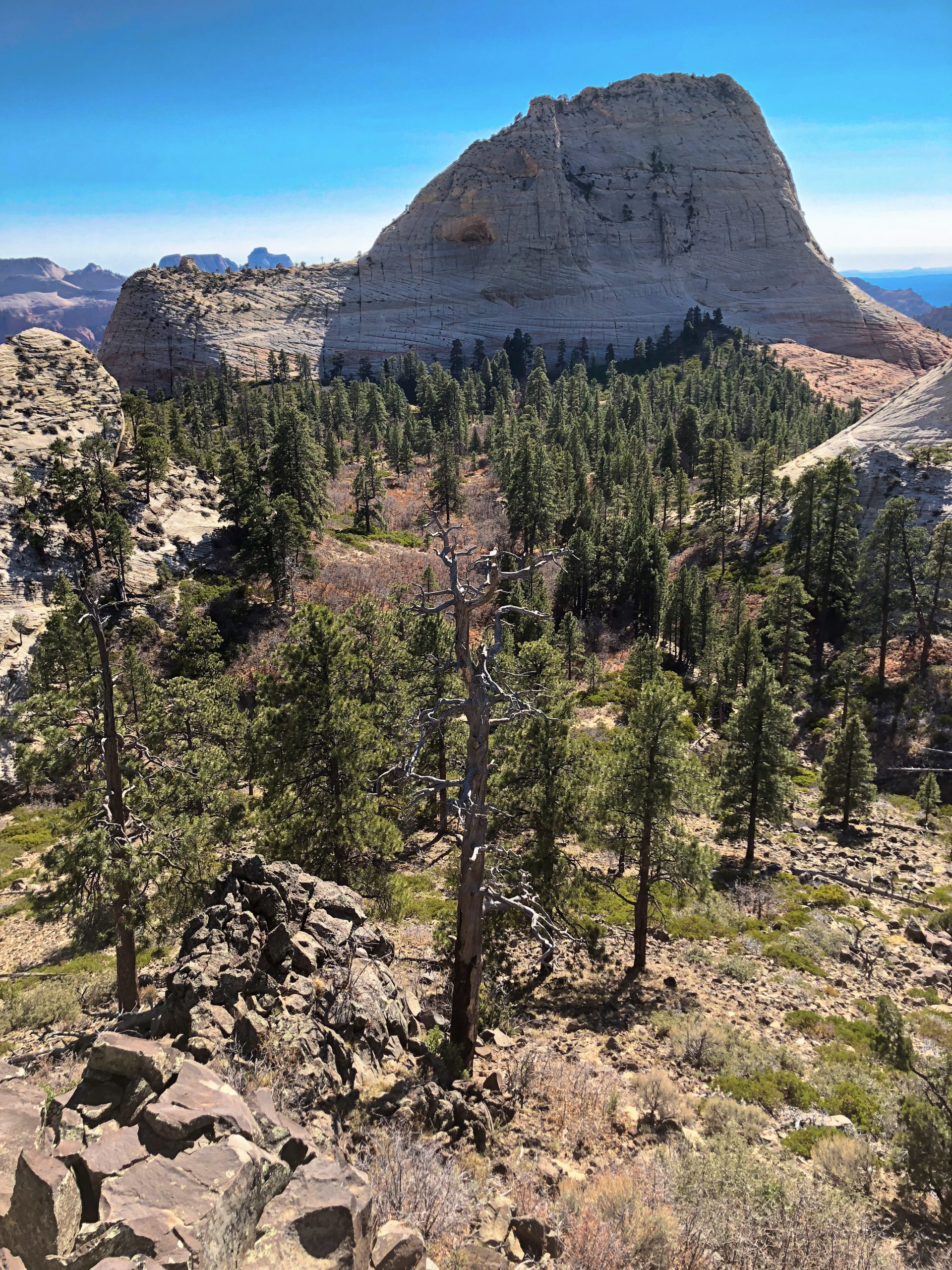 Hiking the Northgate Peaks Trail - Grey Otter OUTventures®