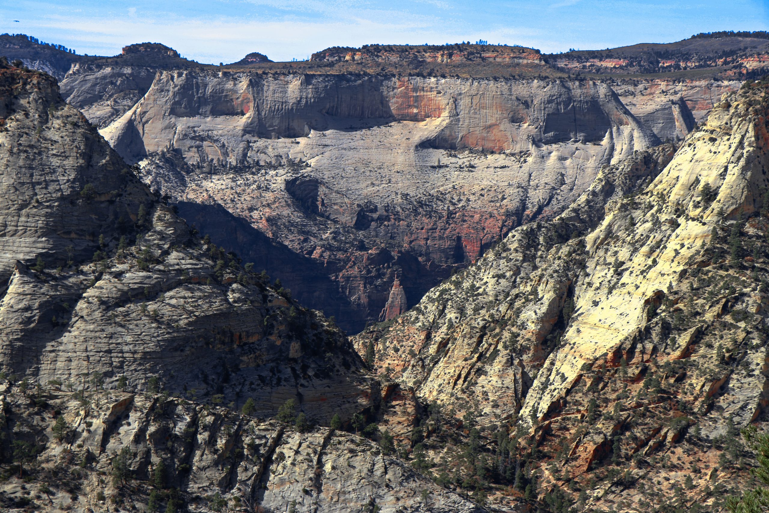 Zion National Park - East Rim Trail - Grey Otter OUTventures®