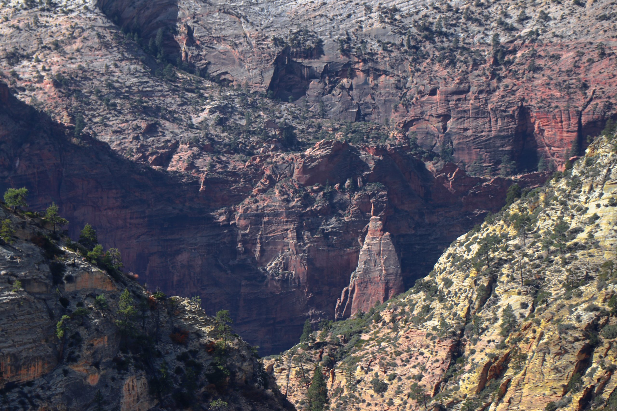 Zion National Park - East Rim Trail - Grey Otter OUTventures®