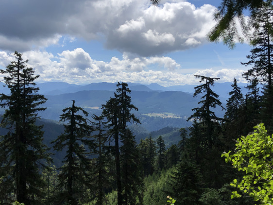 Alpine Trails - Oakridge, OR - Grey Otter OUTventures®