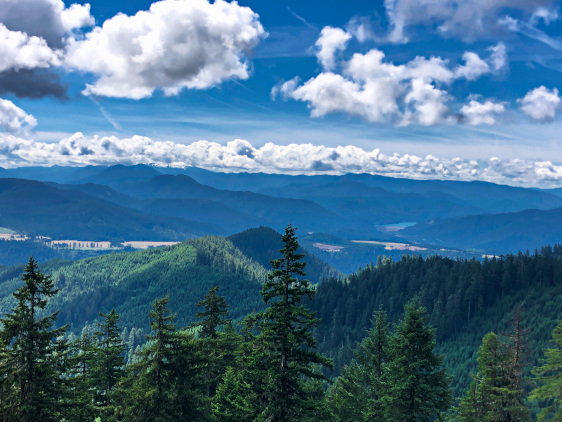 Alpine Trails - Oakridge, OR - Grey Otter OUTventures®