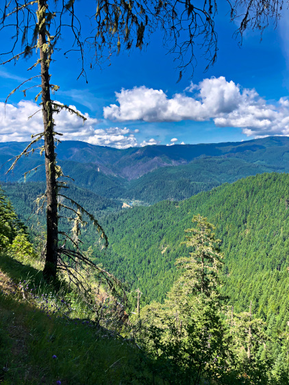 Alpine Trails - Oakridge, OR - Grey Otter OUTventures®