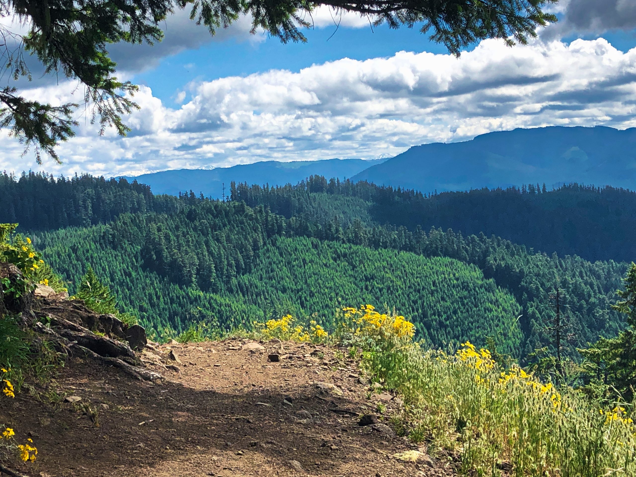 Alpine Trails - Oakridge, OR - Grey Otter OUTventures®
