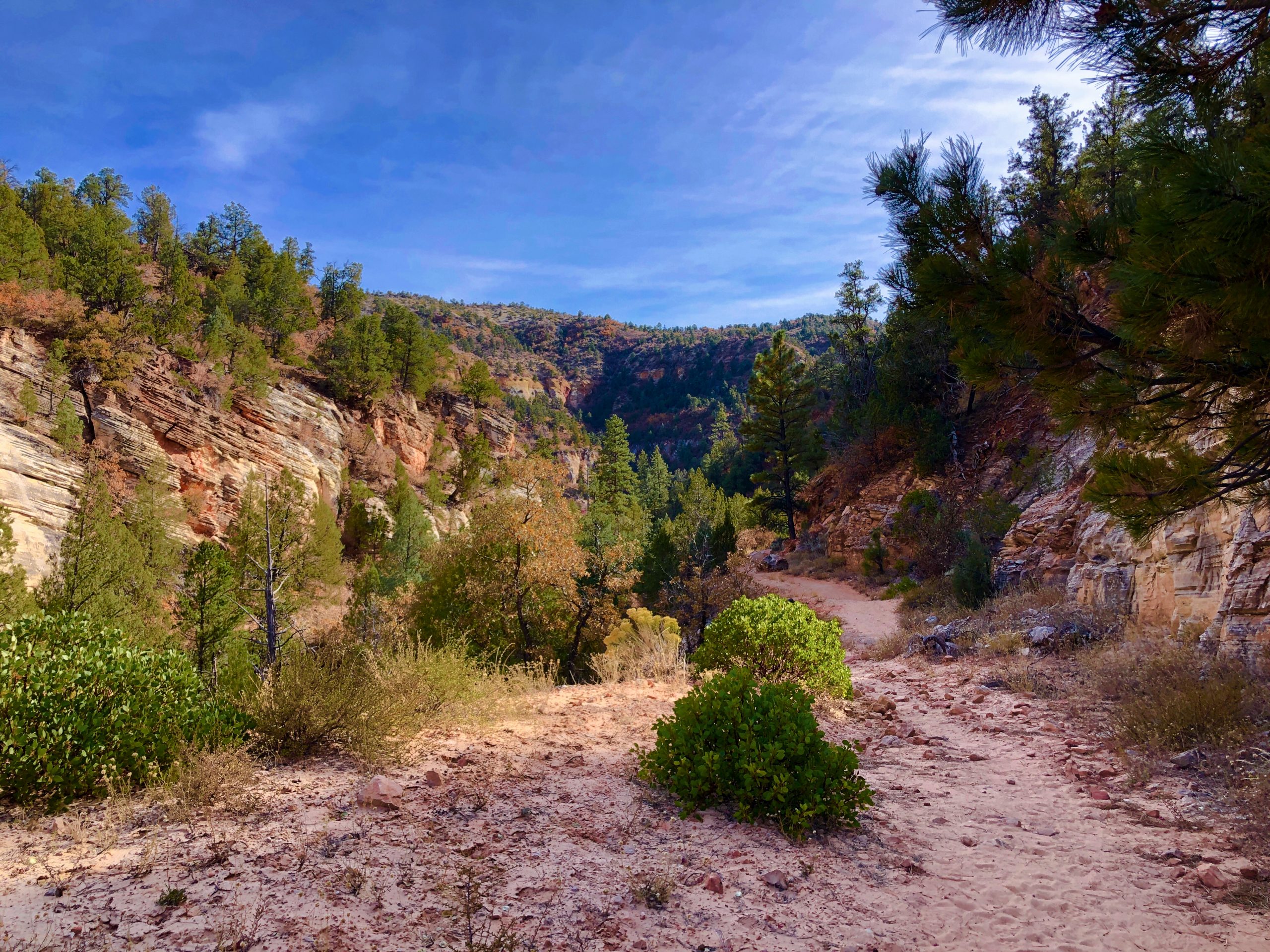 Zion National Park - East Rim Trail - Grey Otter OUTventures®