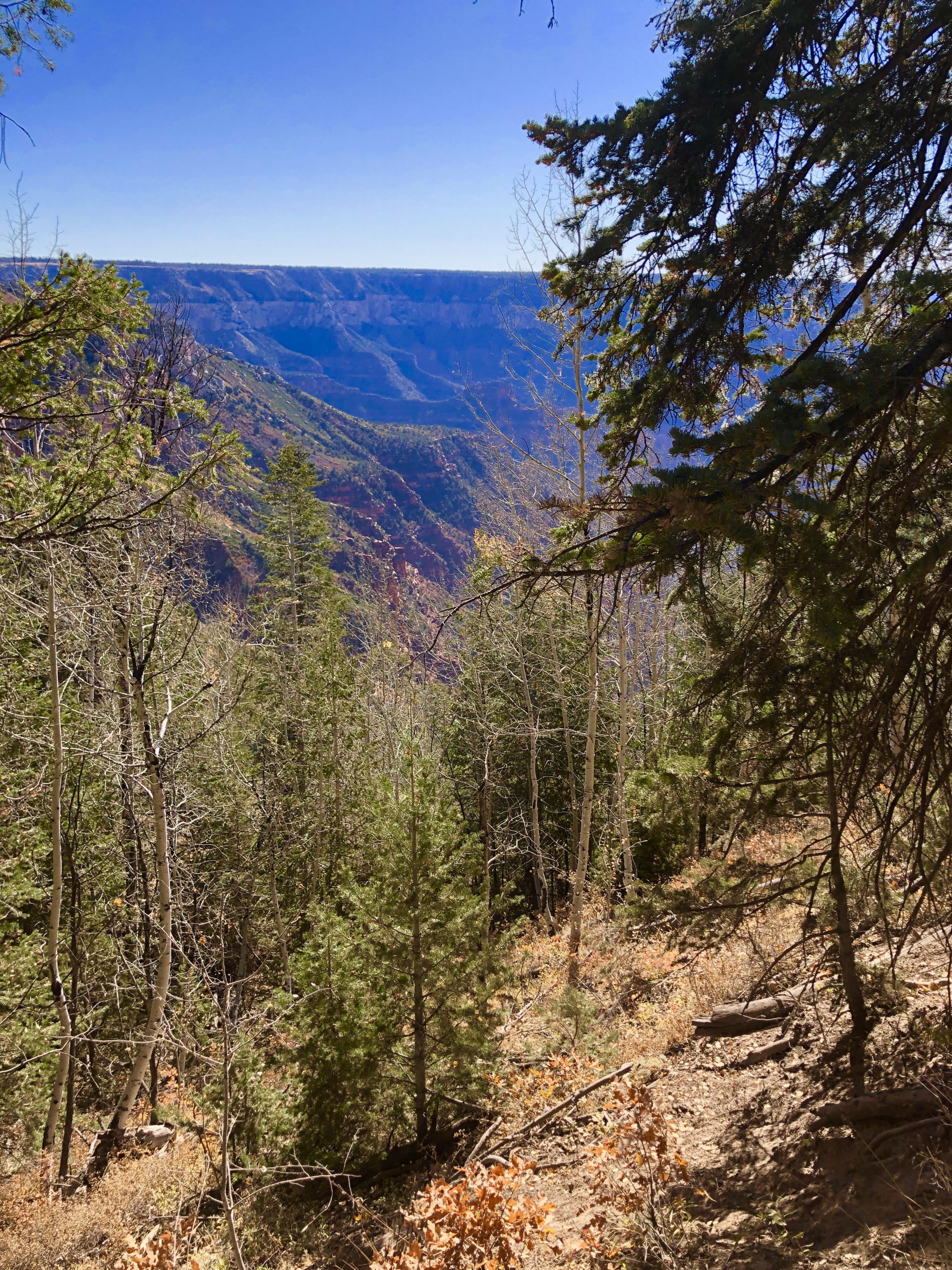 Grand Canyon National Park - North Kaibab Trail - Grey Otter OUTventures®