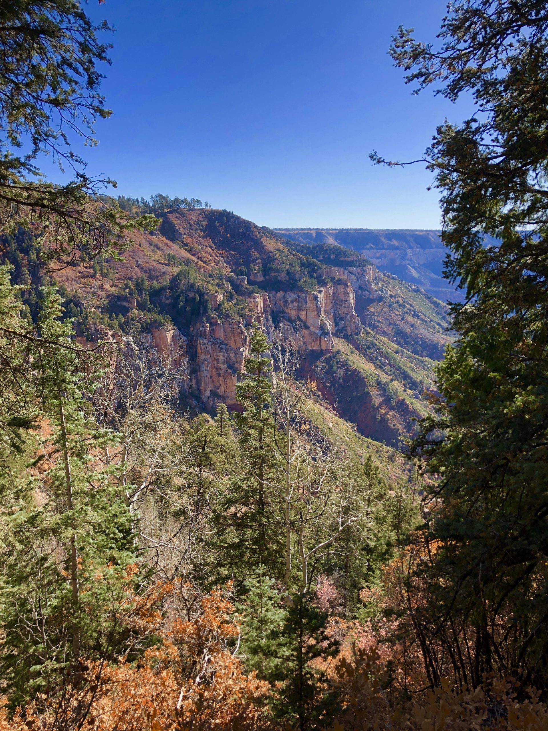 Grand Canyon National Park - North Kaibab Trail - Grey Otter OUTventures®