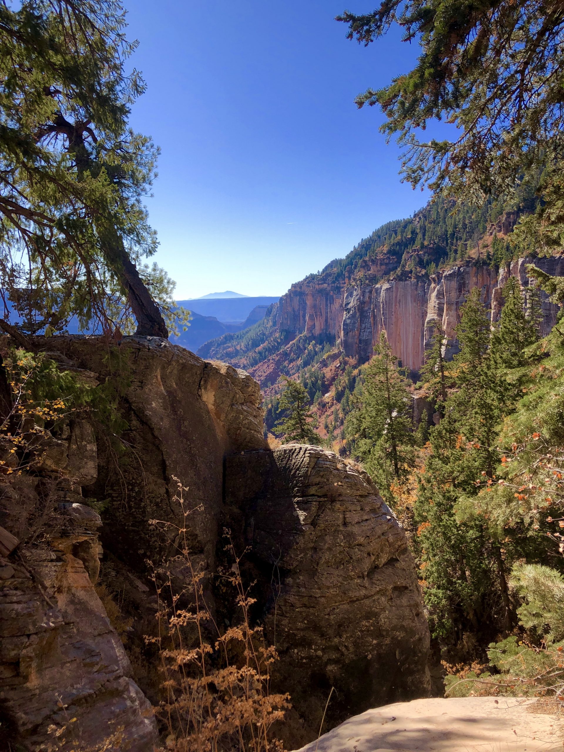 Grand Canyon National Park - North Kaibab Trail - Grey Otter OUTventures®