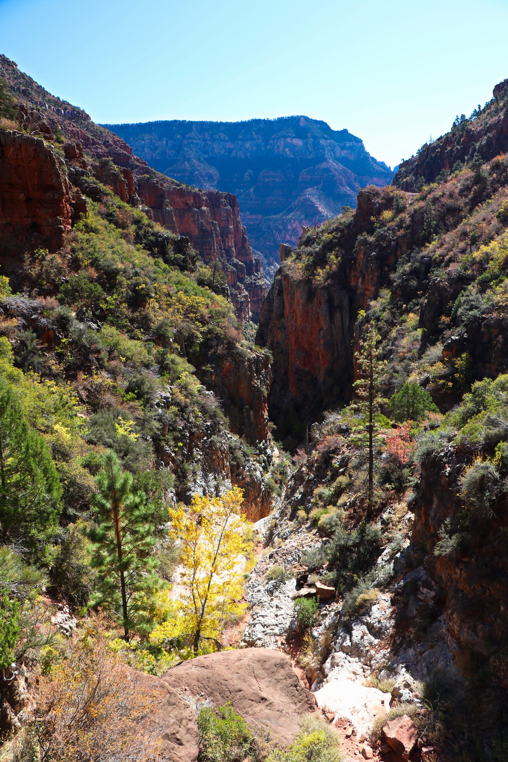 Grand Canyon National Park - North Kaibab Trail - Grey Otter OUTventures®