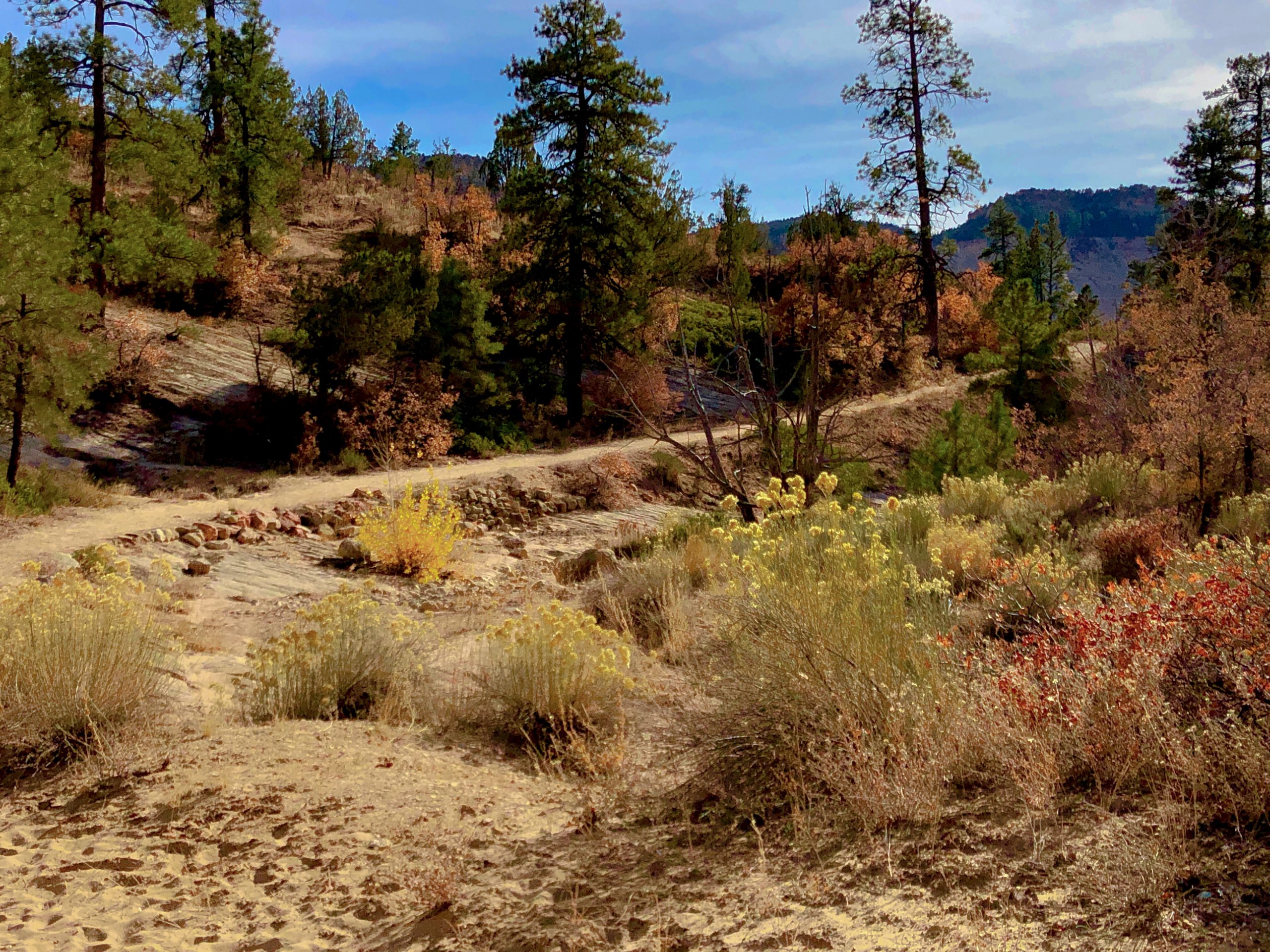 Zion National Park - East Rim Trail - Grey Otter OUTventures®