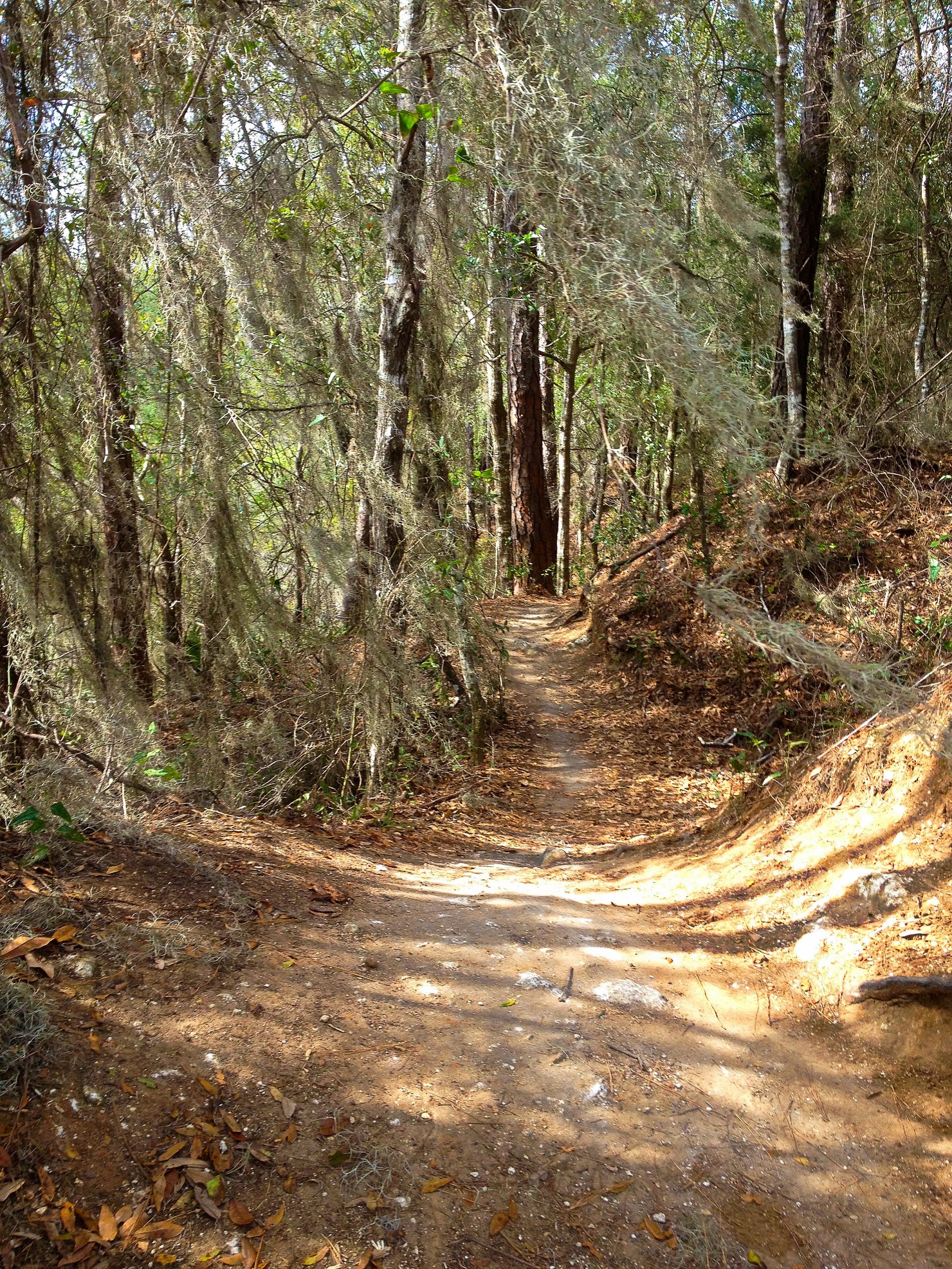 Santos Mountain Biking Trails - Grey Otter OUTventures®