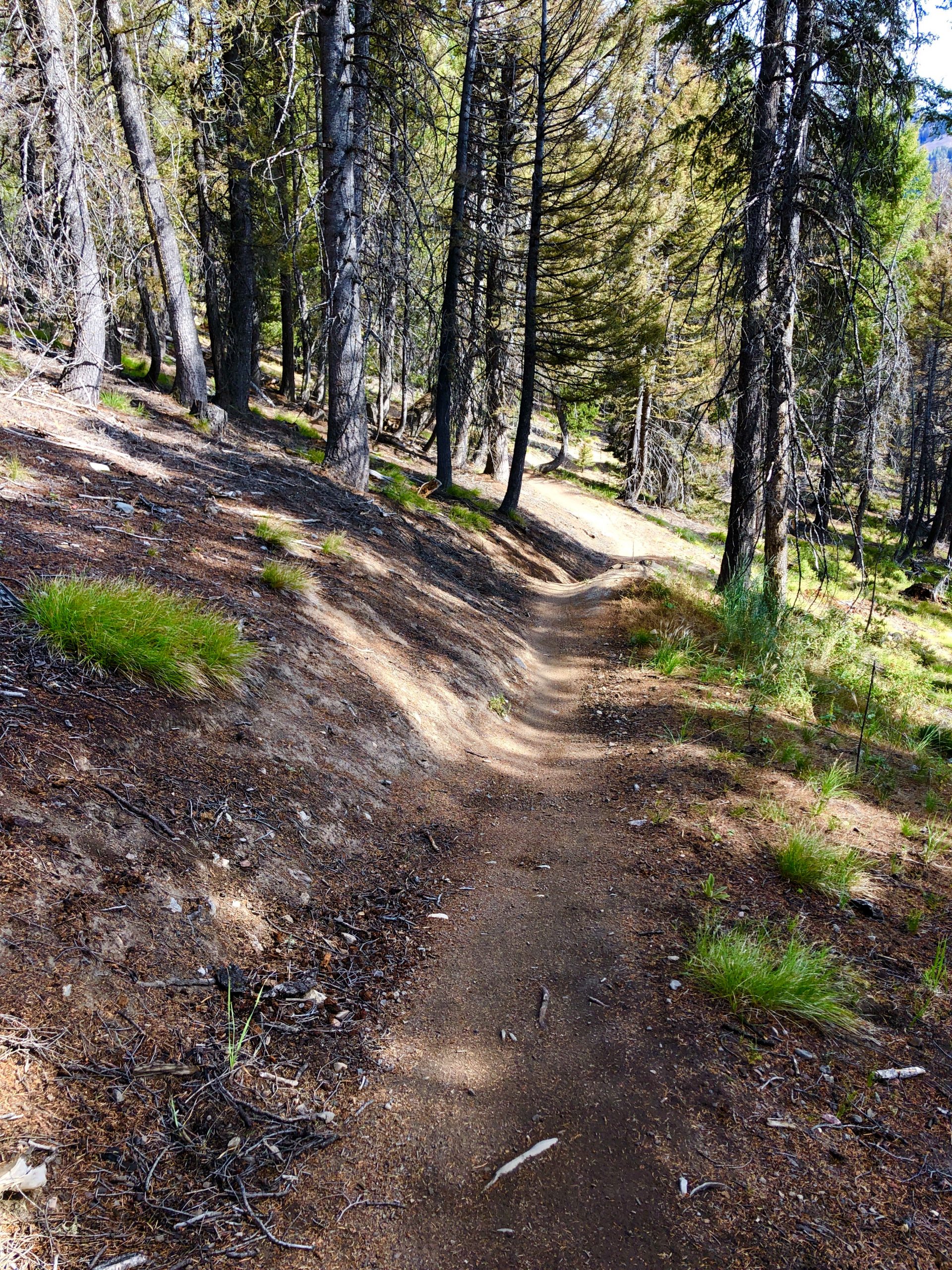 Galena Lodge Mountain Biking Trails, Idaho - Grey Otter OUTventures®