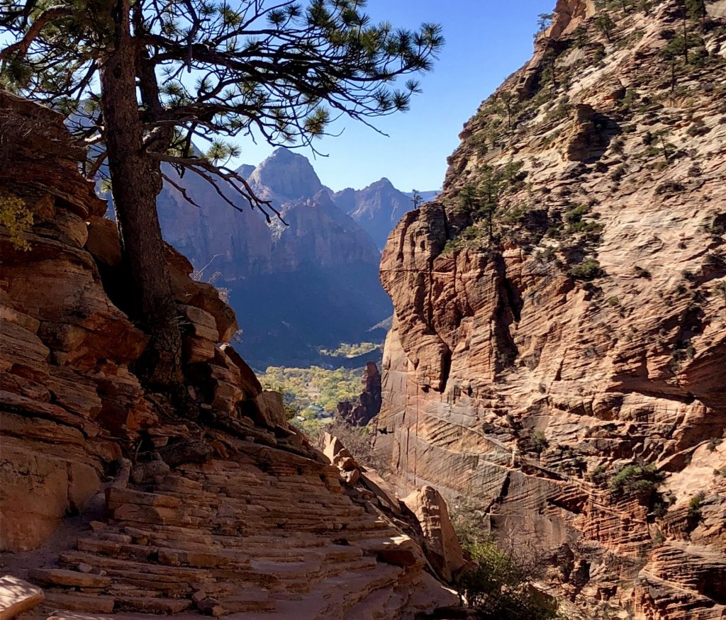Zion National Park - West Rim Trail - Grey Otter OUTventures®